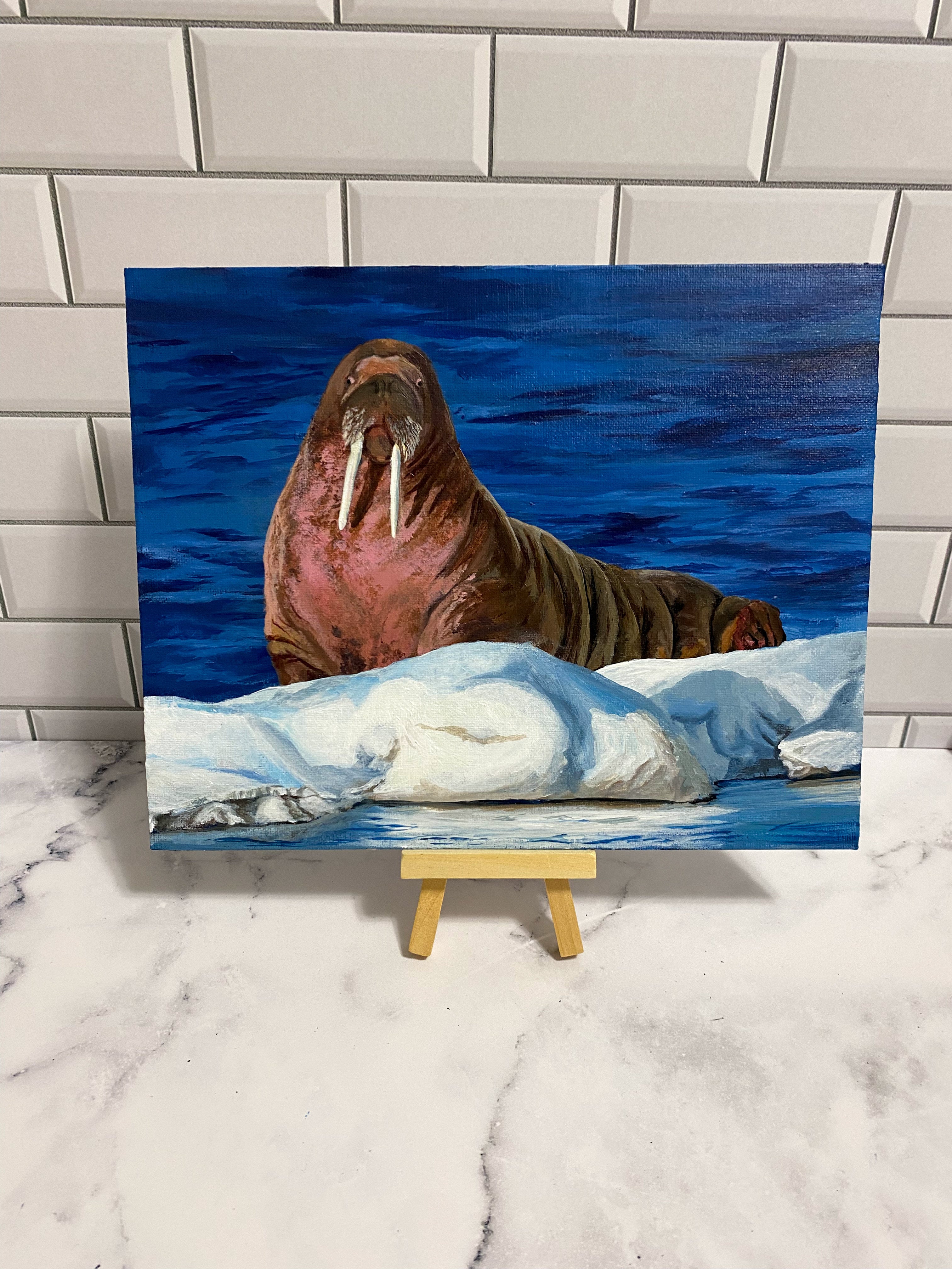Floating Walrus | Tarryn Zerbinos